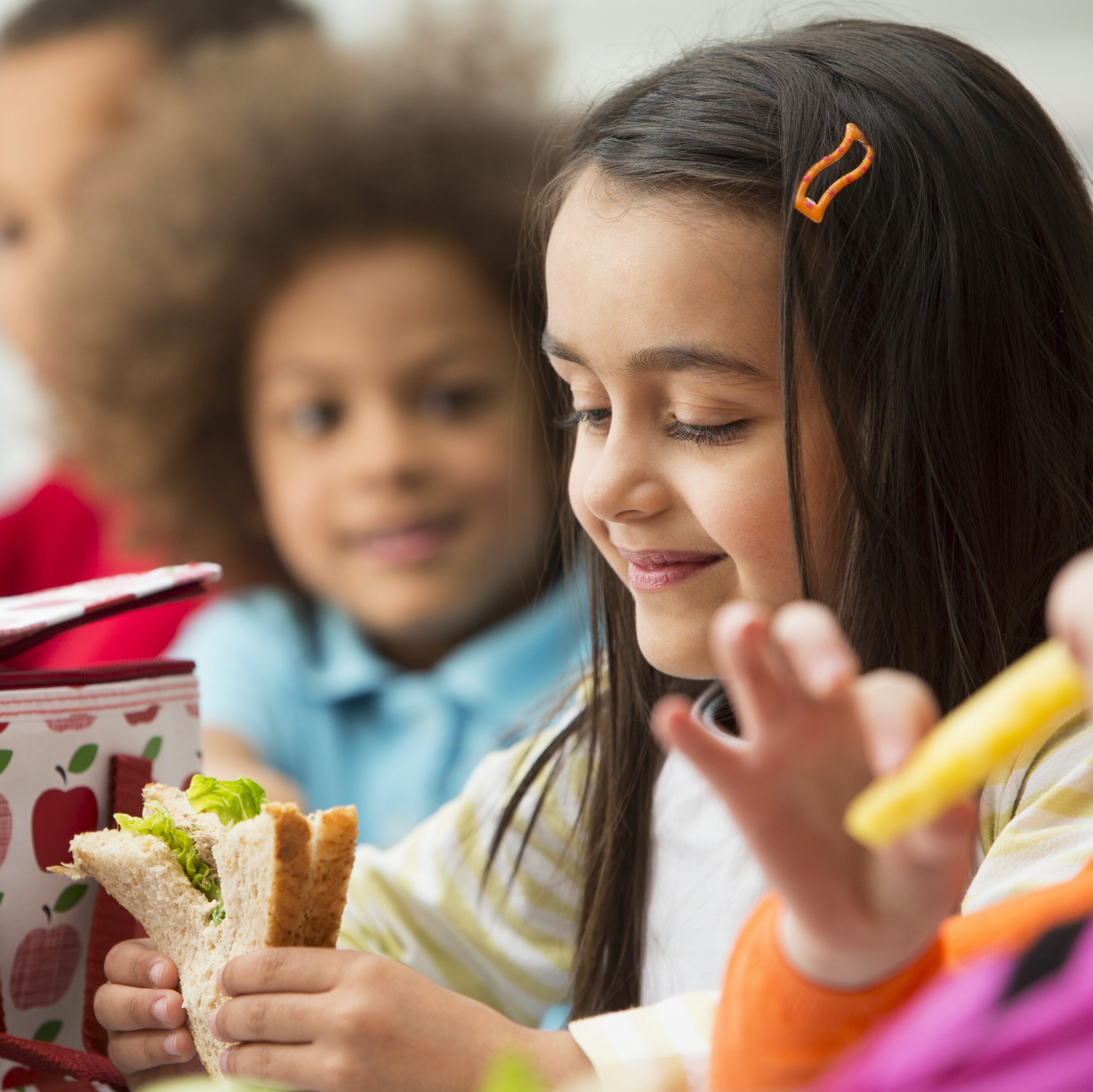 Healthy Eating Made Simple: The USDA’s MyPlate Blueprint - Well Beyond ...